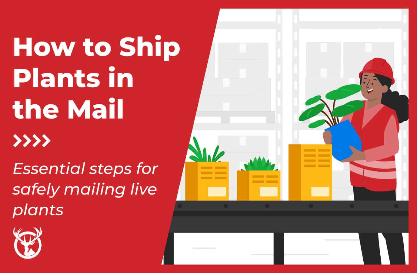 How to ship plants in the mail: the ultimate guide Safely and Securely ...